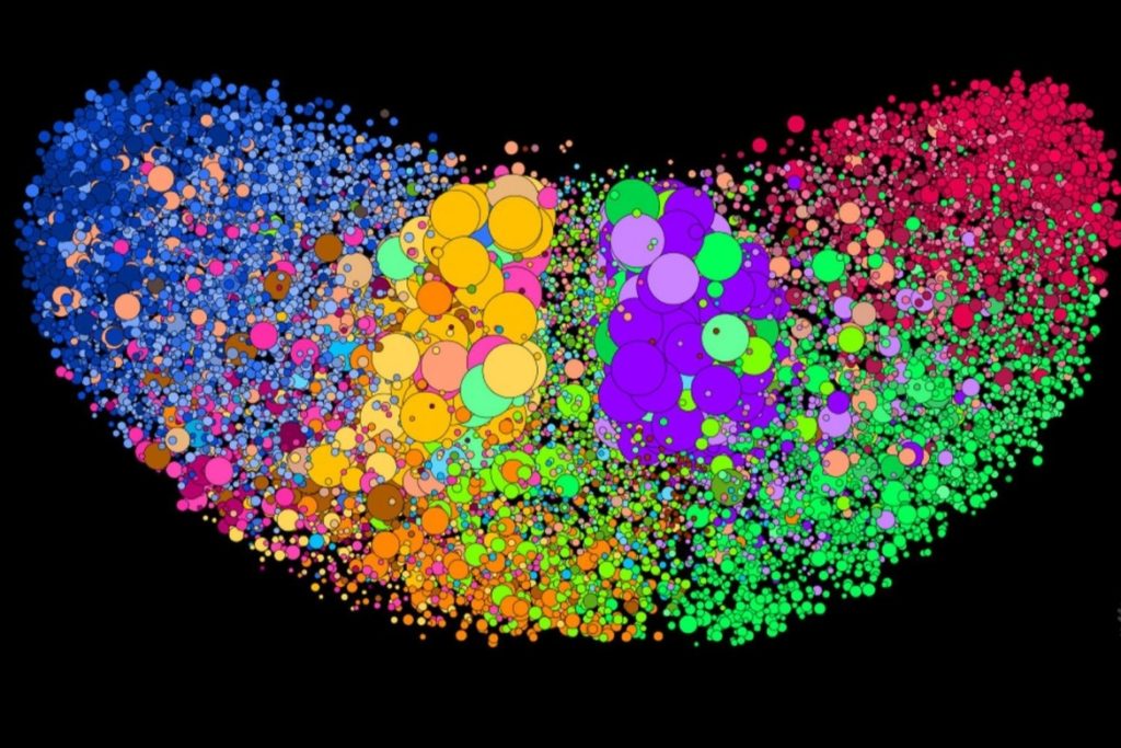 Using Twitter to Visualize Polarization – Center for Data Innovation