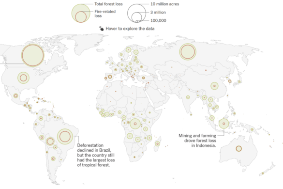 Mapping How Tiktok’s Algorithm Recommends Videos – Center for Data ...